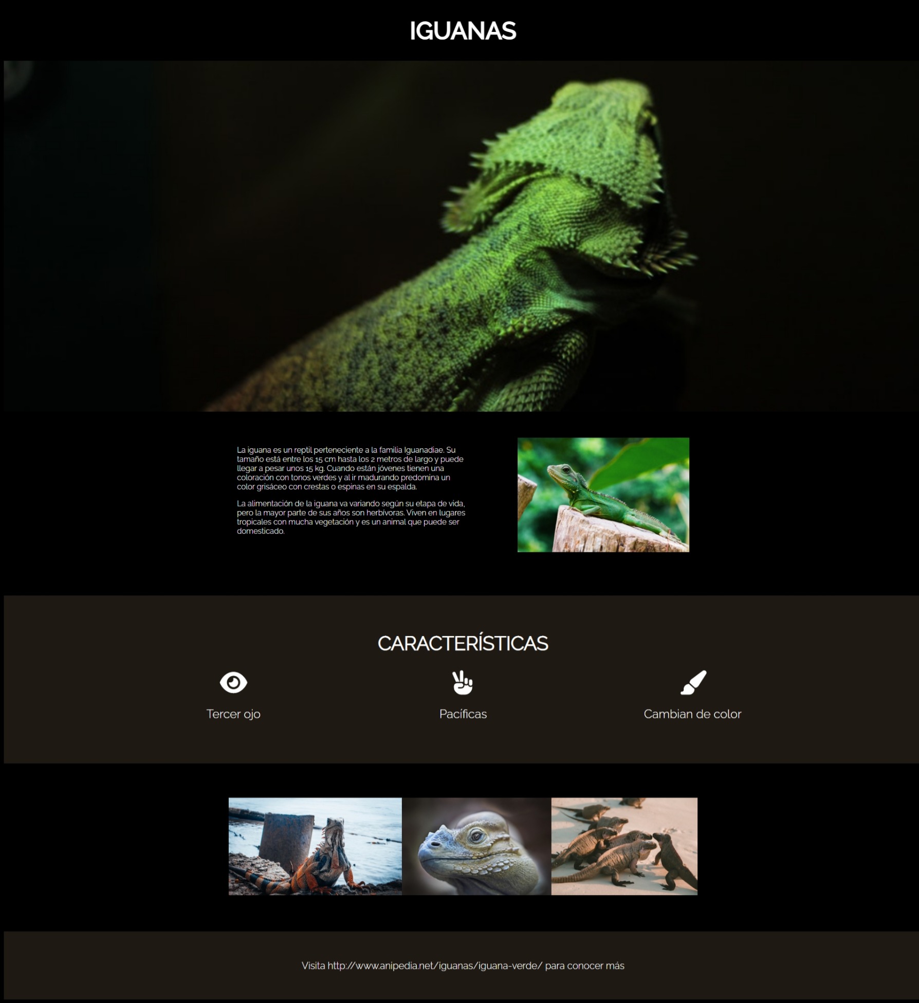 CV CLAUDIA GUTIÉRREZ